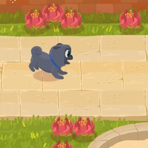 Animal Games - Play on Toongo